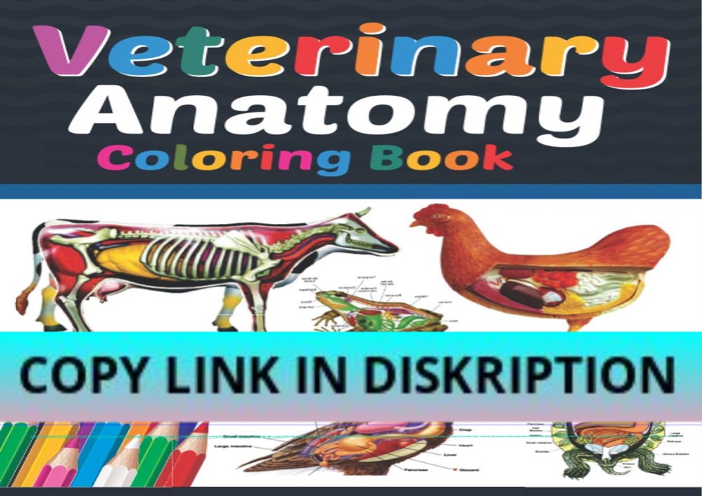 PPT – [PDF] DOWNLOAD Veterinary Anatomy Coloring Book: Veterinary ...