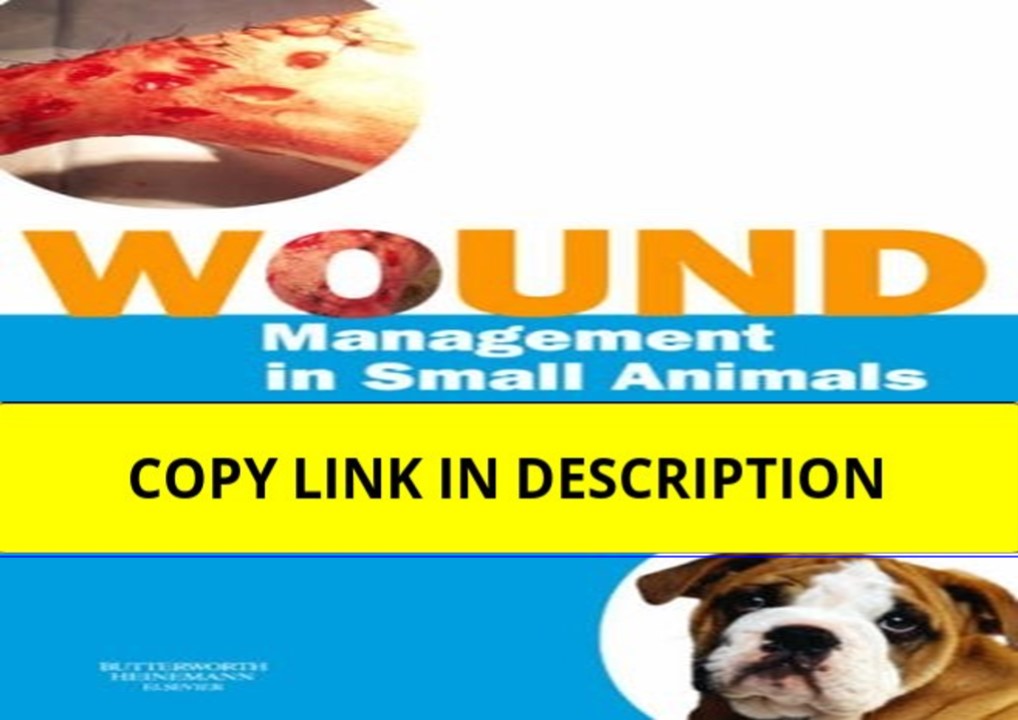 PPT – ⚡PDF ️ Wound Management in Small Animals: A Practical Guide for ...