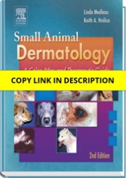 PPT – PDF Small Animal Dermatology: A Color Atlas and Therapeutic Guide Full PowerPoint ...
