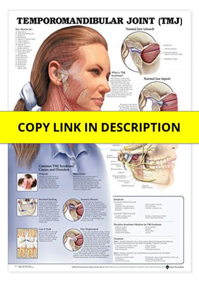 [PDF] Temporomandibular Joint (TMJ) Anatomical Chart Wall Chart â ...