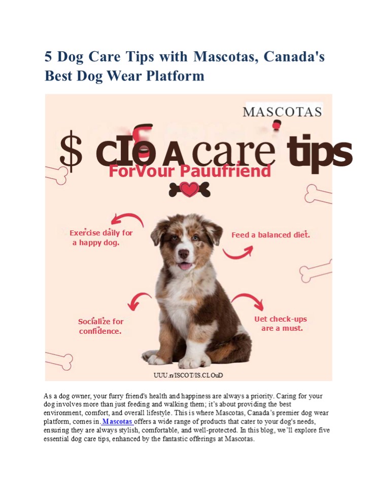 5 Dog Care Tips with Mascotas, Canada's Best Dog Wear Platform ...