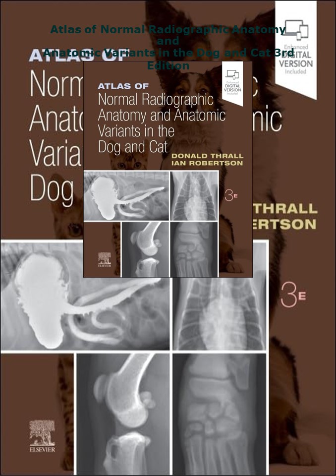 PPT – Download ⚡️(PDF) ️ Atlas of Normal Radiographic Anatomy and ...