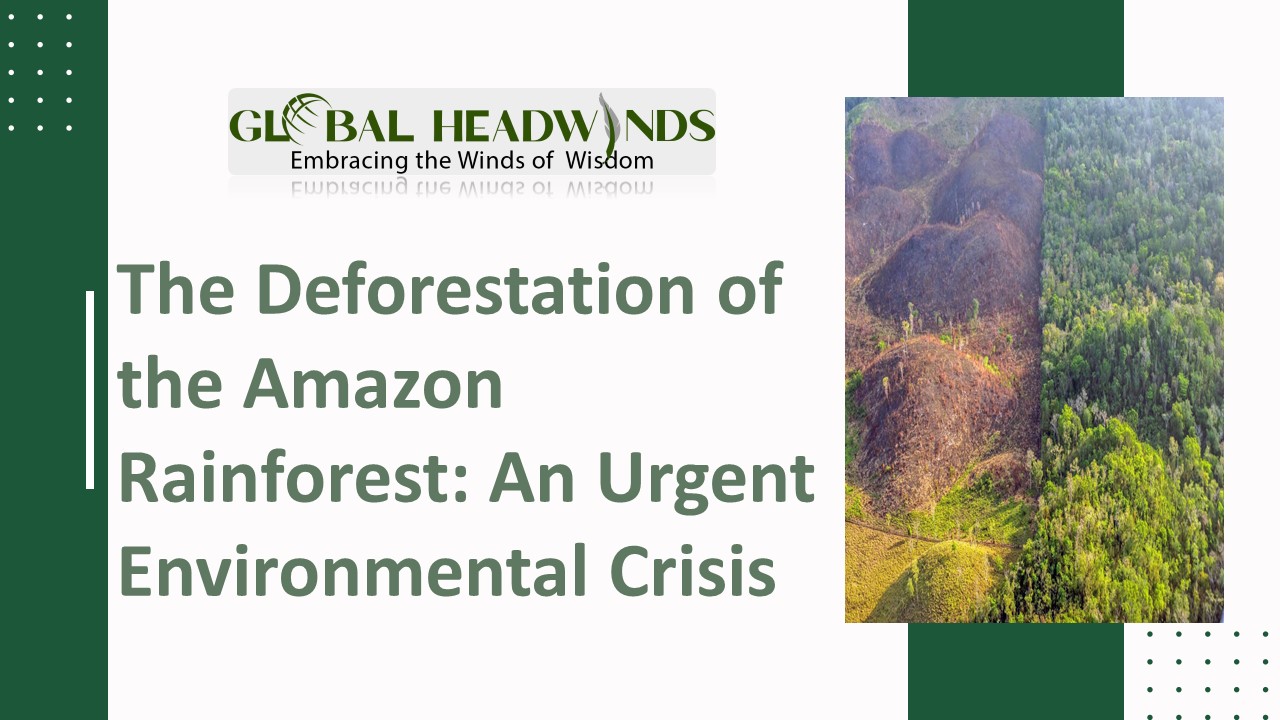 The Deforestation of the Amazon Rainforest: An Urgent Environmental ...
