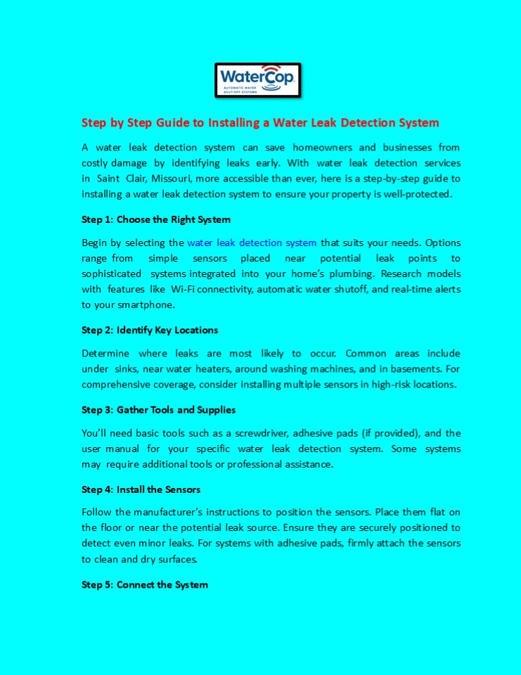 PPT – Step by Step Guide to Installing a Water Leak Detection System ...