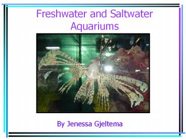 PPT – This is my Freshwater and Saltwater Aquariums PowerPoint ...