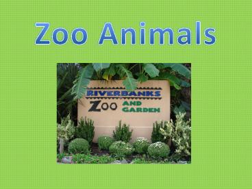 Zoo Animals presentation | free to download