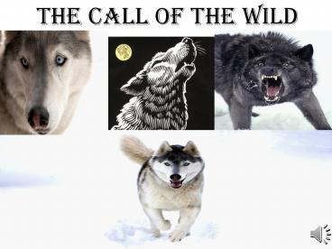 Call of the Wild presentation | free to view