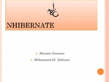 PPT – NHibernate PowerPoint presentation | free to view - id: 3812ff-NjExZ