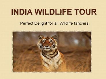 PPT – India Wildlife tour PowerPoint presentation | free to view - id: 3ac263-YmIzO