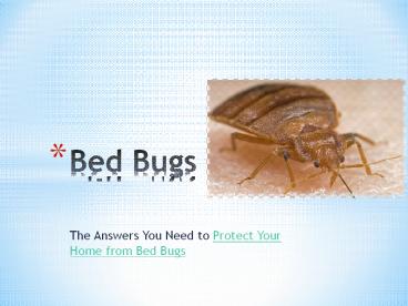 Bed Bugs - The Answers You Need to Protect Your Home from Bed Bugs ...