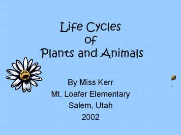 PPT – Life Cycles of Plants and Animals PowerPoint presentation | free ...