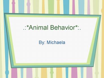 .:*Animal Behavior*:. presentation | free to view