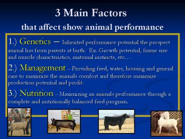 3 Main Factors that affect show animal performance presentation | free ...