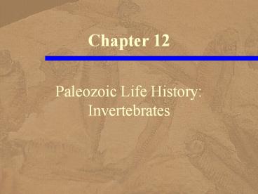 PPT – Paleozoic Life History: Invertebrates PowerPoint presentation ...