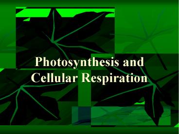 PPT – Photosynthesis and Cellular Respiration PowerPoint presentation ...