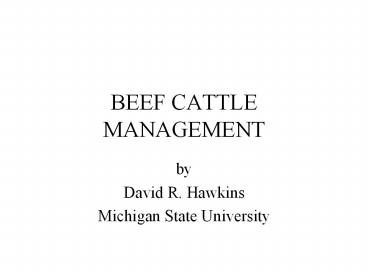 BEEF CATTLE MANAGEMENT presentation | free to download