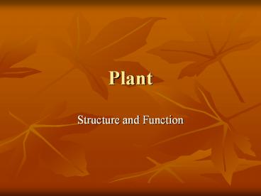 Plant presentation | free to view