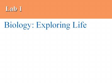 PPT – Lab 1 PowerPoint presentation | free to view - id: 3b2235-Y2MyN