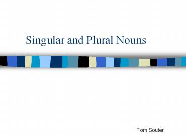Singular and Plural Nouns presentation | free to view