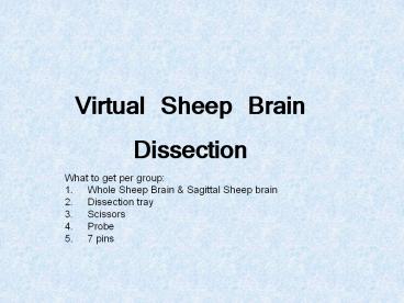 PPT – Virtual Sheep Brain Dissection PowerPoint presentation | free to ...