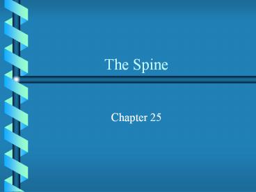 The Spine presentation | free to download