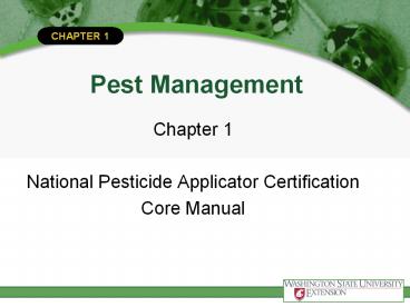Pest Management presentation | free to download