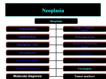 Neoplasia Neoplasia Nomenclature Benign vs. Malignant tumors ...
