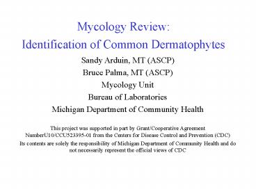 Mycology Review: Identification of Common Dermatophytes presentation ...