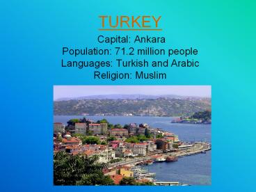 PPT – TURKEY PowerPoint presentation | free to view - id: 3b521d-ODBhN