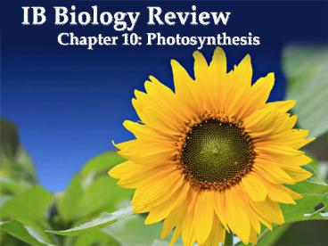 Chapter 10: Photosynthesis IB Biology Review 12. Why is the ...