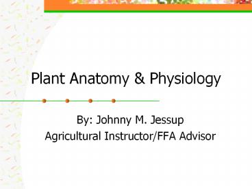 Plant Anatomy & Physiology presentation | free to view