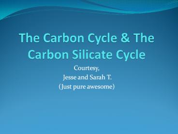 The Carbon Cycle & The Carbon Silicate Cycle presentation | free to view