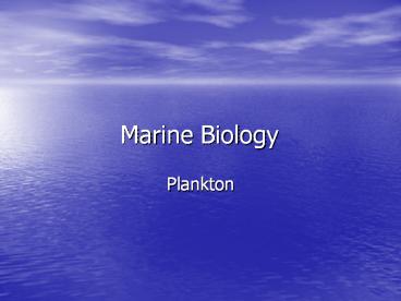PPT – Marine Biology PowerPoint presentation | free to download - id ...