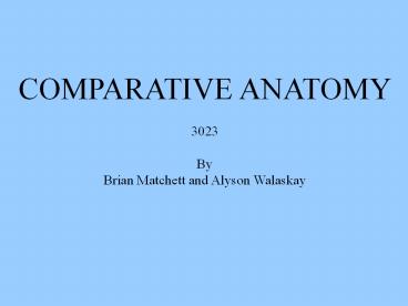 COMPARATIVE ANATOMY presentation | free to view