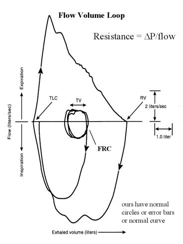 PPT – Flow Volume Loop Resistance = P/flow FRC ours have normal ...