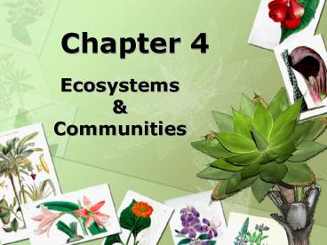 Ecosystems presentation | free to download