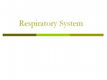 PPT – Respiratory System PowerPoint presentation | free to download ...