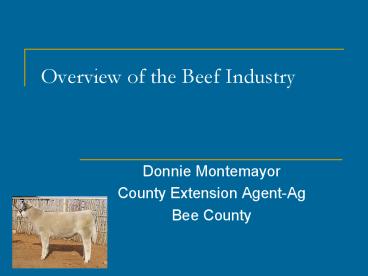Overview of the Beef Industry presentation | free to view