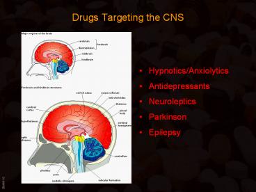 PPT – Drugs Targeting the CNS PowerPoint presentation | free to view - id: 3bd324-MTAxM
