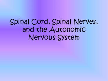 PPT – Spinal Cord, Spinal Nerves, and the Autonomic Nervous System ...