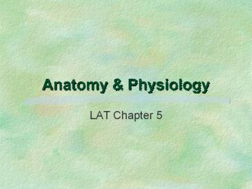 PPT – Anatomy & Physiology PowerPoint presentation | free to view - id ...