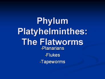 Ppt Platyhelminthes The Flatworms Powerpoint Worm Cheaoest Phyla