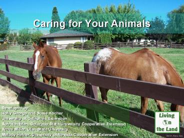 Caring for Your Animals presentation | free to download