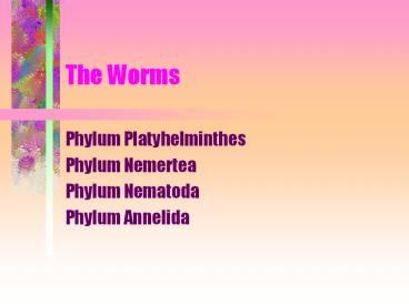 PPT – The Worms PowerPoint presentation | free to view - id: 3bda1b-ZTUxN