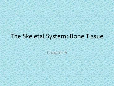The Skeletal System: Bone Tissue presentation | free to download