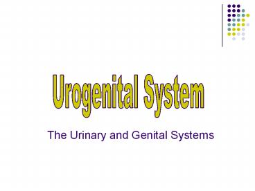 Urogenital System presentation | free to view