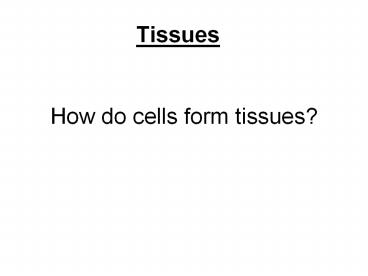 How do cells form tissues? presentation | free to view