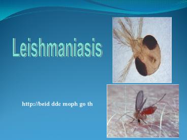 Leishmaniasis presentation | free to view