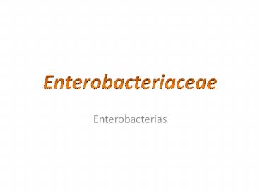 Enterobacteriaceae presentation | free to view