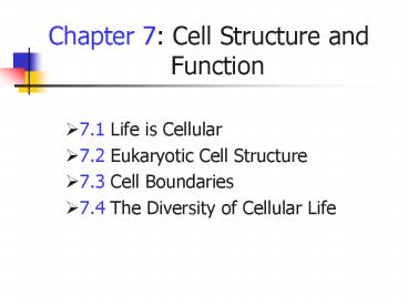 Chapter 7: Cell Structure and Function presentation | free to view